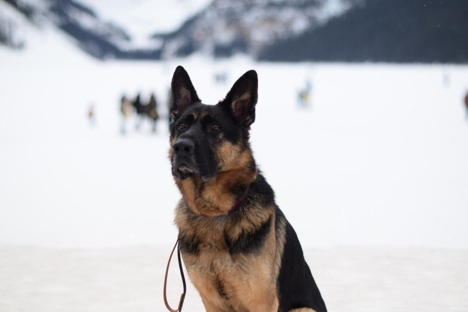 What's new at Pluto's Palette? – Pluto’s Palette