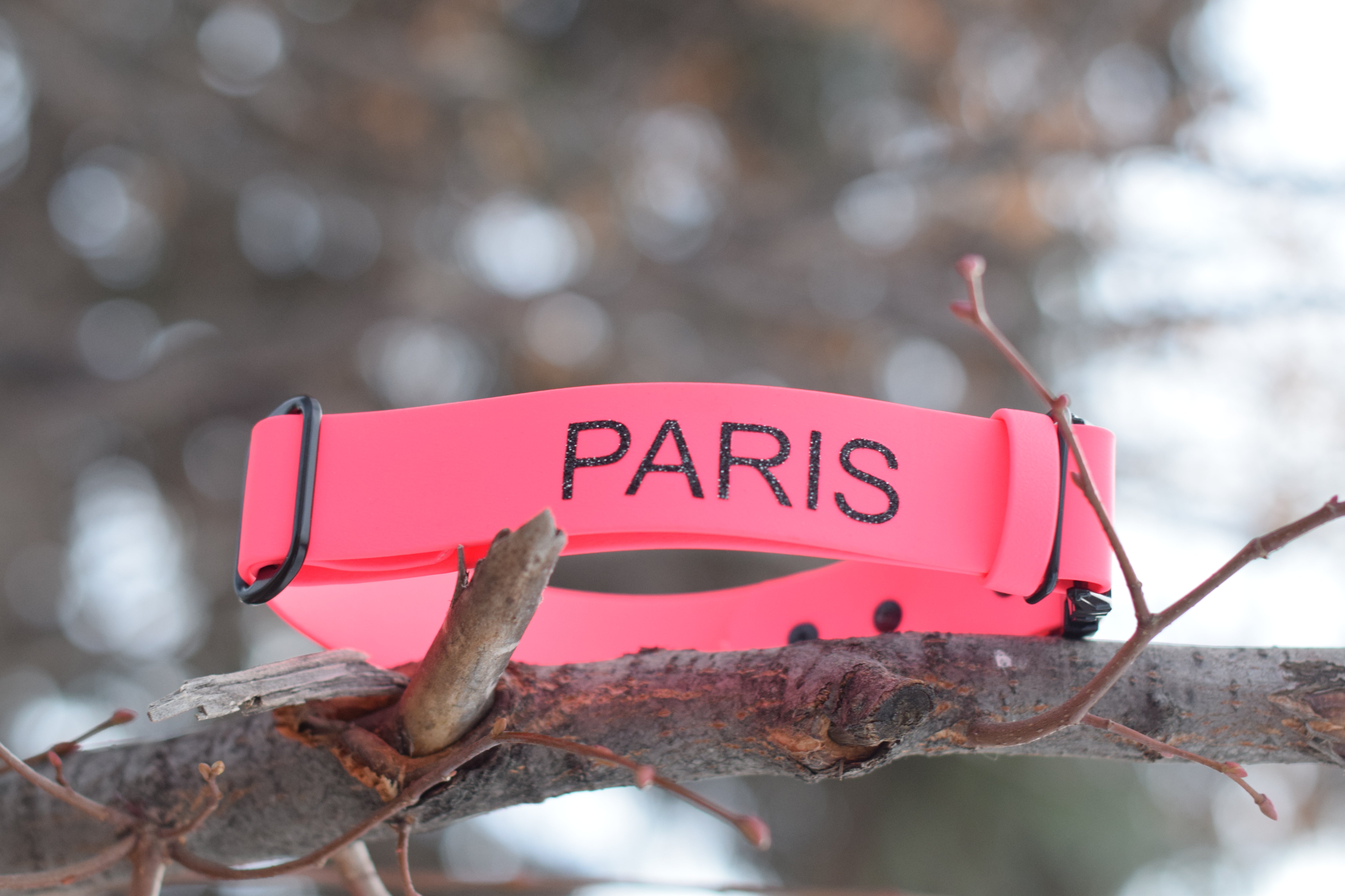 Custom Vinyl Wording – Pluto’s Palette